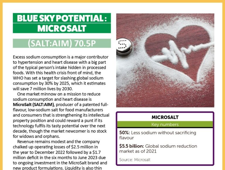 Sodium and Health 2 – The Mental Impact – Microsalt